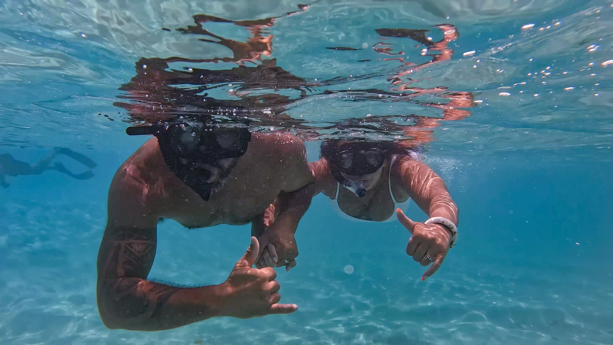 Main Home - Rarotonga Turtle Tours