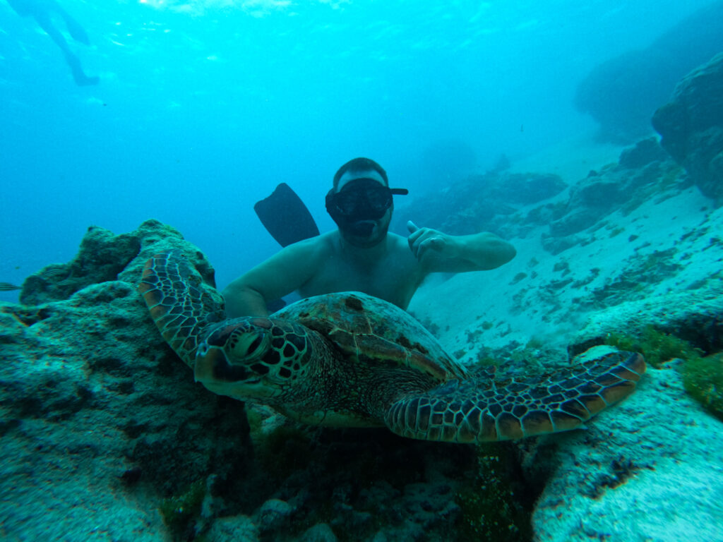 Tour Packages – Rarotonga Turtle Tours