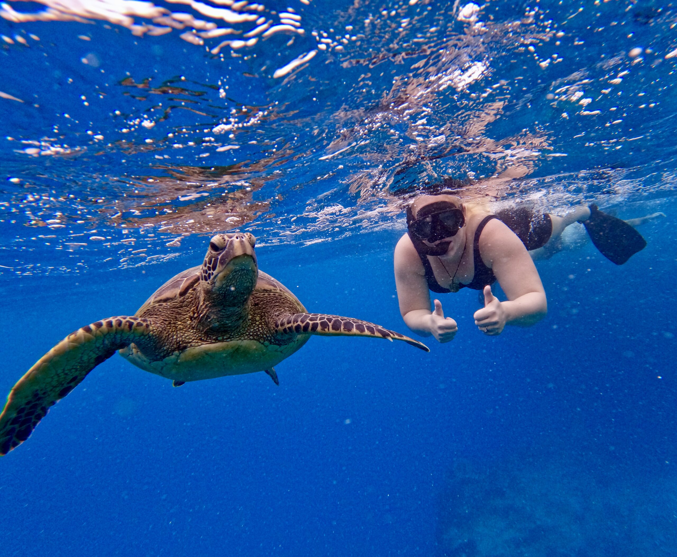 Explore With Us - Rarotonga Turtle Tours