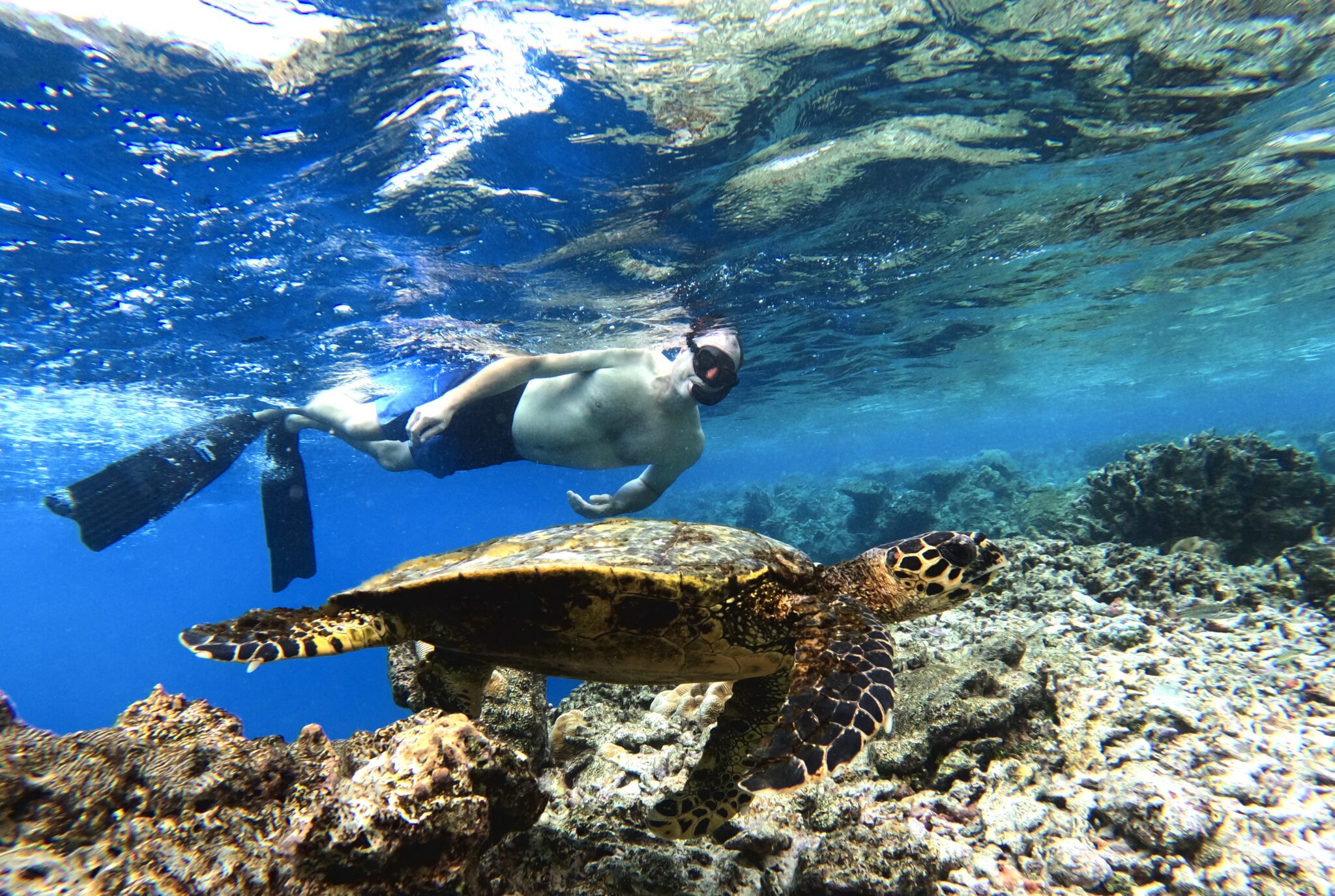 Explore With Us - Rarotonga Turtle Tours