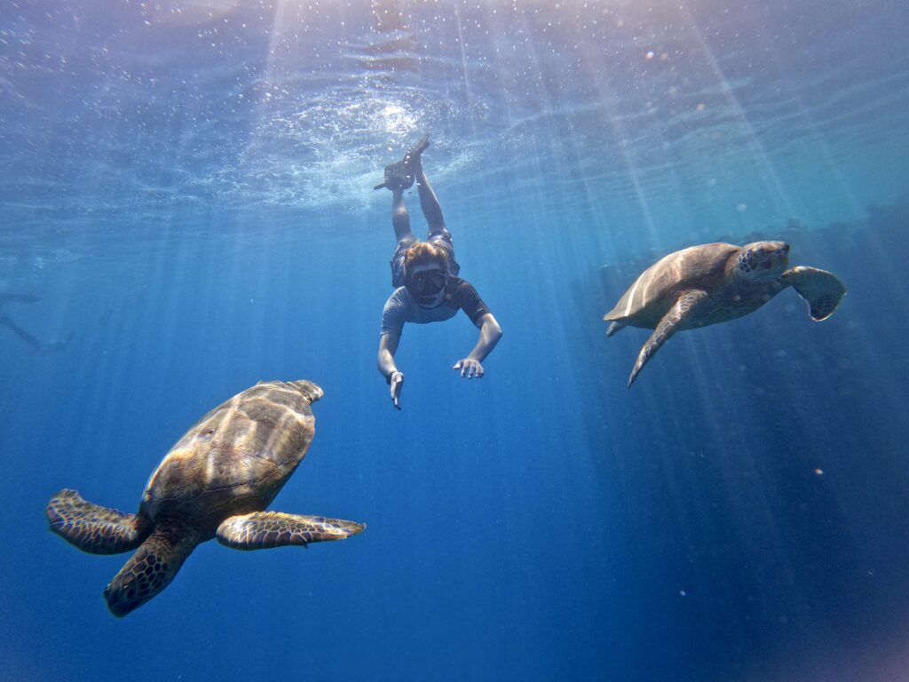 Tour Packages – Rarotonga Turtle Tours