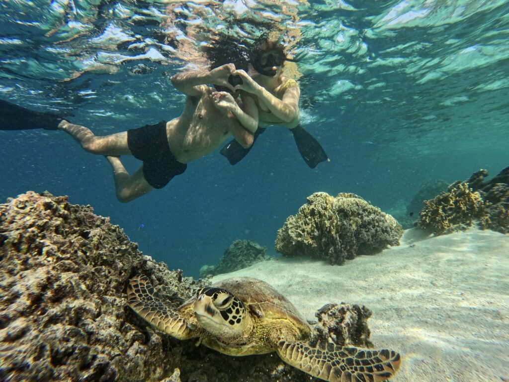 Tour Packages - Rarotonga Turtle Tours